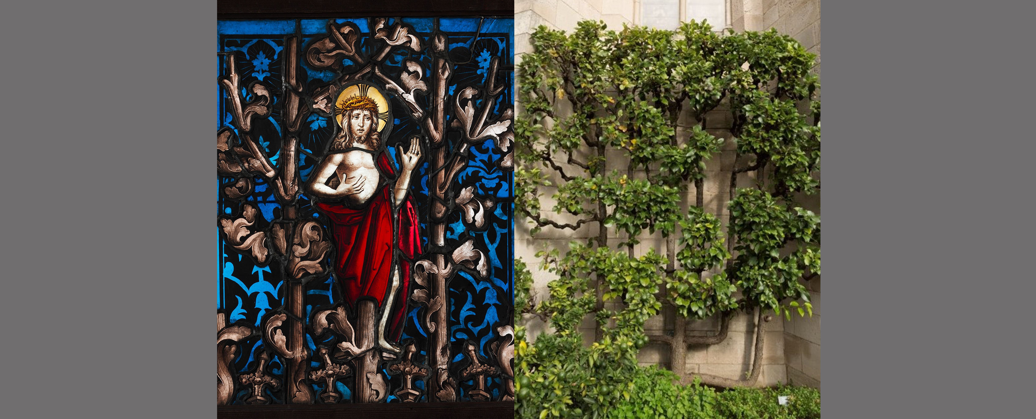 Earth Day Lecture Cloisters | The Metropolitan Museum of Art