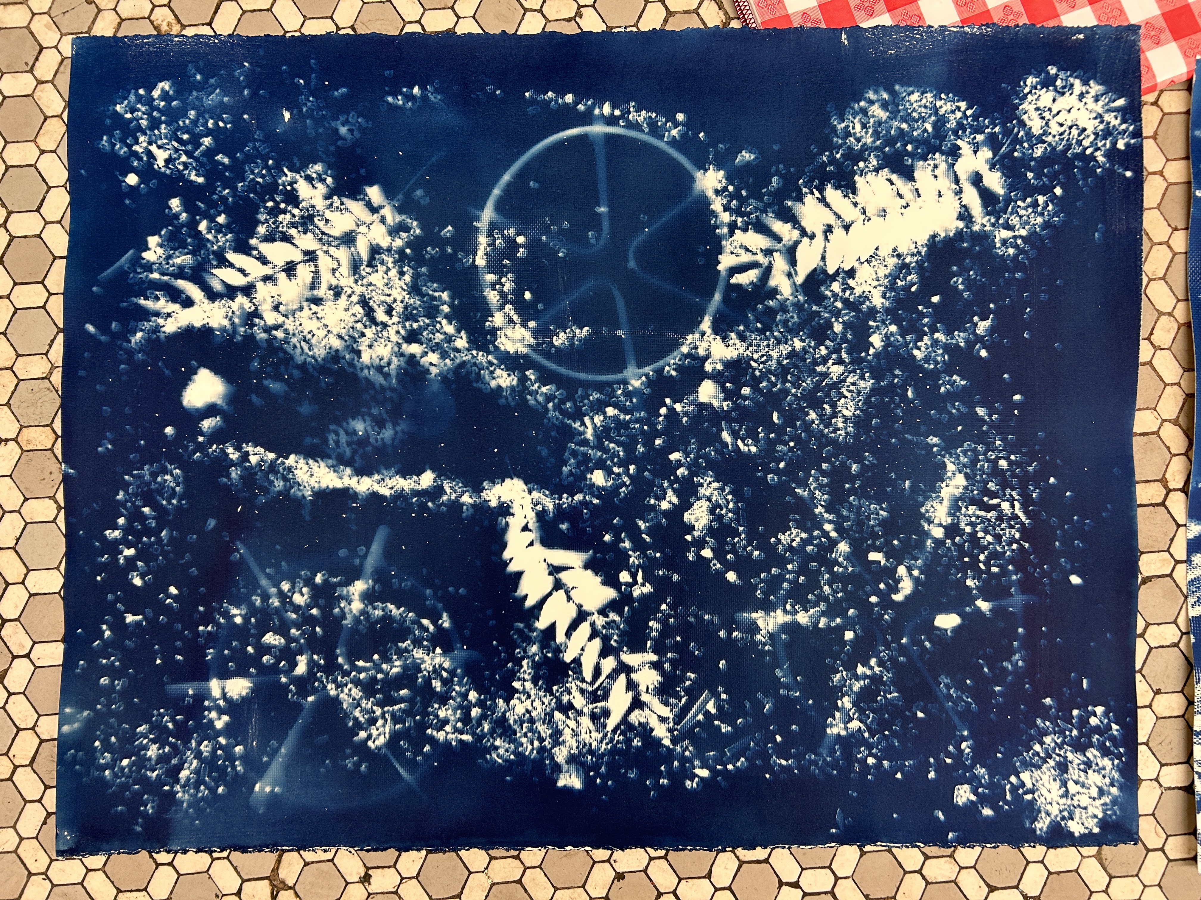 Studio Workshop—Creating Cyanotypes | The Metropolitan Museum of Art
