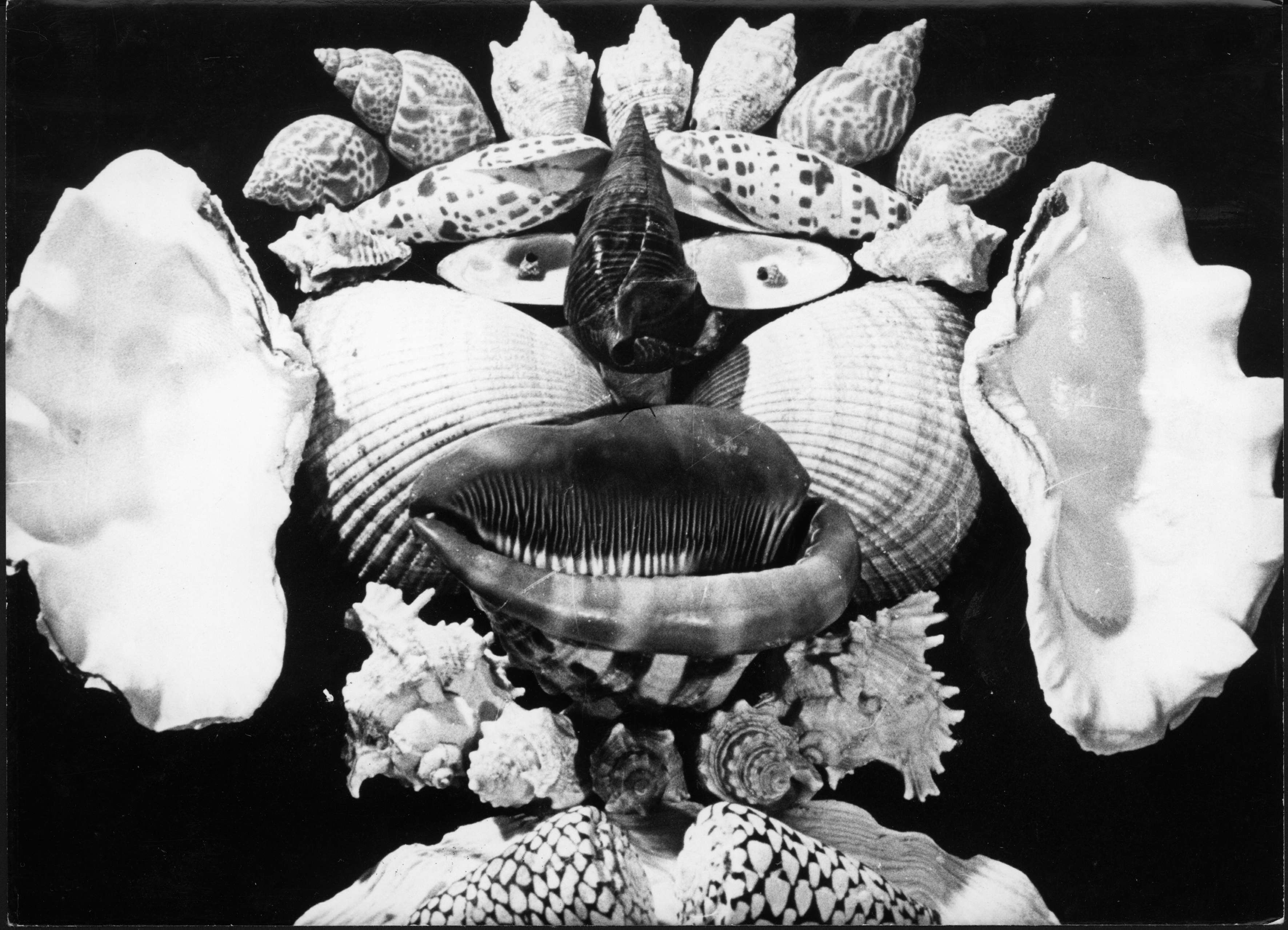 Film Series—Short Films for Short Nights | The Metropolitan Museum of Art