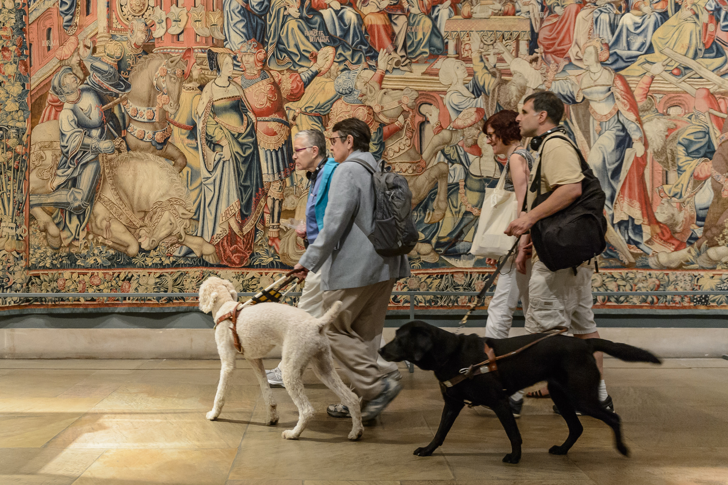 Picture This! at The Met Cloisters | The Metropolitan Museum of Art